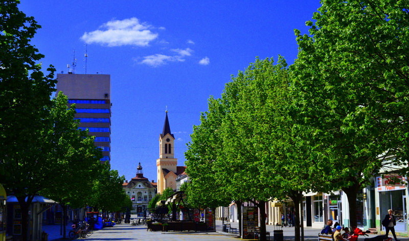 Imate jedan dan u Zrenjaninu – kako da ga provedete? - Apartmani Zrenjanin